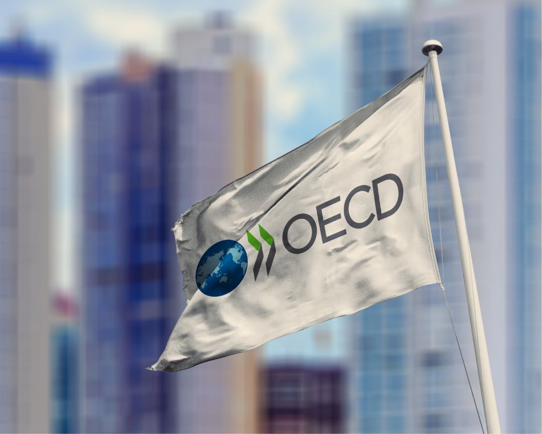 How Derek Nexus And Sarah Nexus Meet The 5 OECD Principles | Lhasa Limited