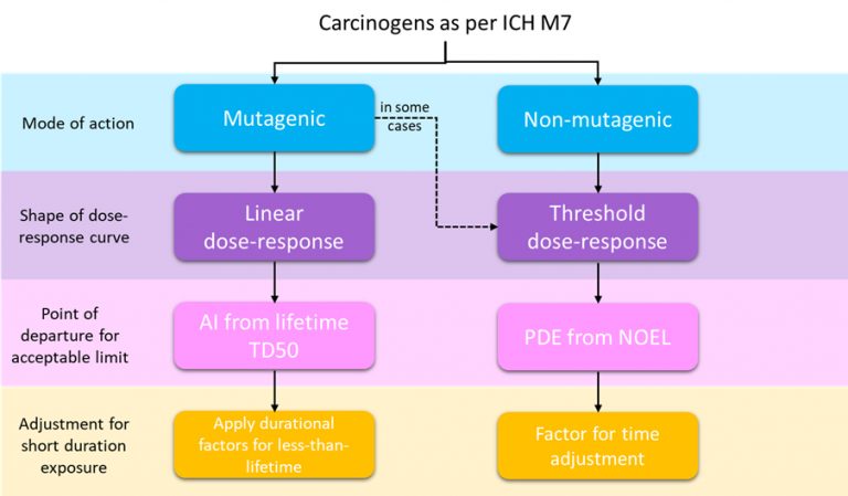How To Calculate The Safe Limit For Carcinogens As Per ICH M7 | Lhasa ...
