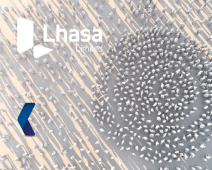 Careers | Lhasa Limited