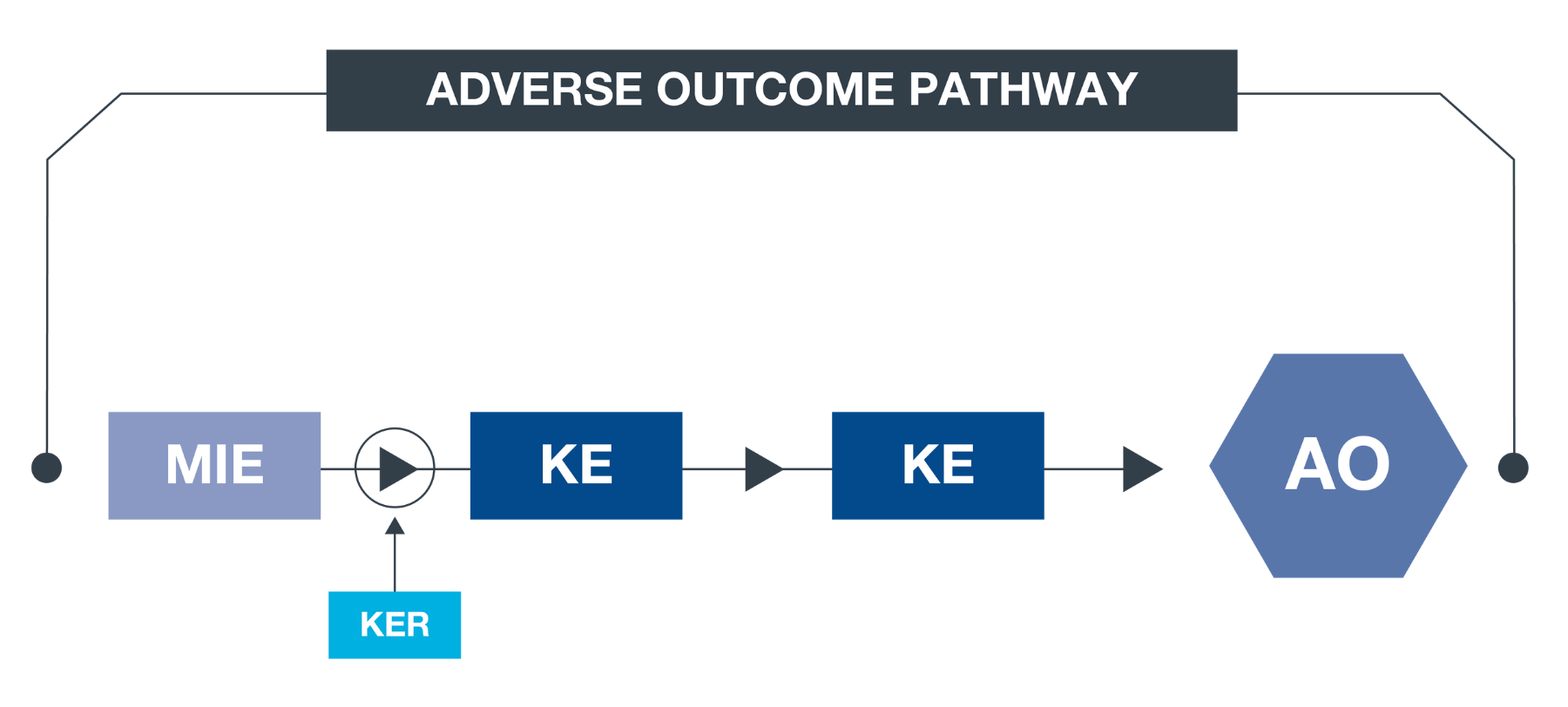 Kaptis In-Silico Solution | Lhasa Limited